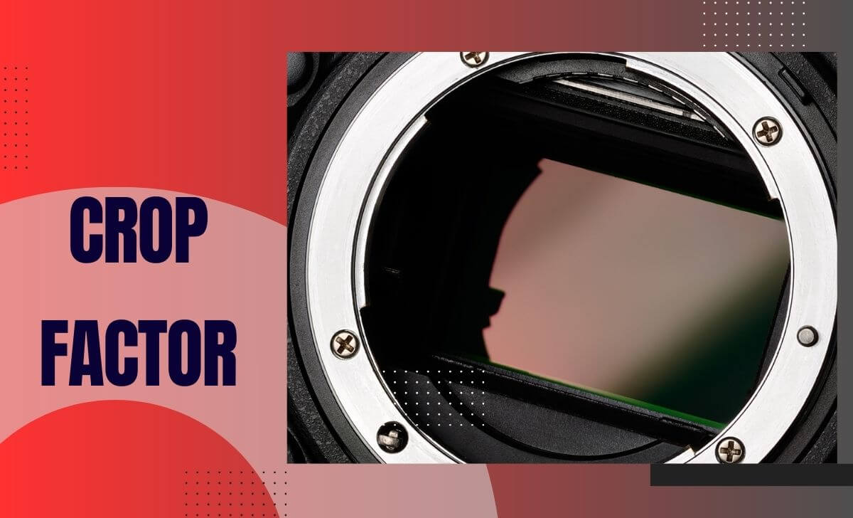 Hệ số phóng đại Crop Factor là gì? Phương pháp tính hệ số Crop - Máy Ảnh Xách Tay Nhật