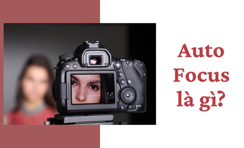 Auto Focus là gì? Lợi ích của Auto Focus trong chụp ảnh - Máy Ảnh Xách ...