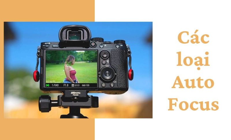 Auto Focus là gì? Lợi ích của Auto Focus trong chụp ảnh - Máy Ảnh Xách ...